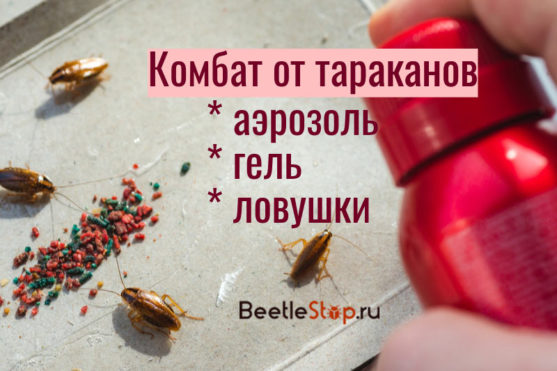 Cockroach Combat: Drug Overview