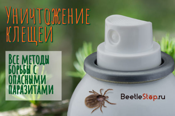 Tick Destruction: Choosing a Site Treatment Agent